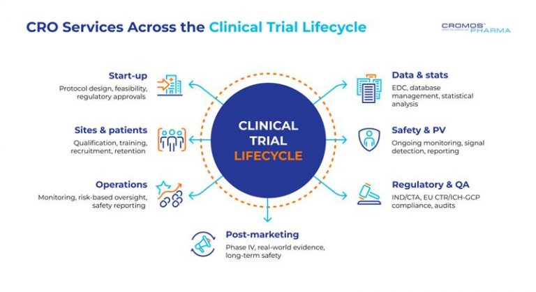 CRO Clinical Trial: Execution, Costs & CRO Selection Guide