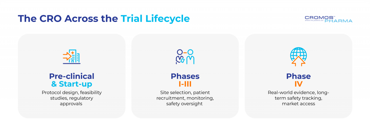 CRO Clinical Trial: Execution, Costs & CRO Selection Guide